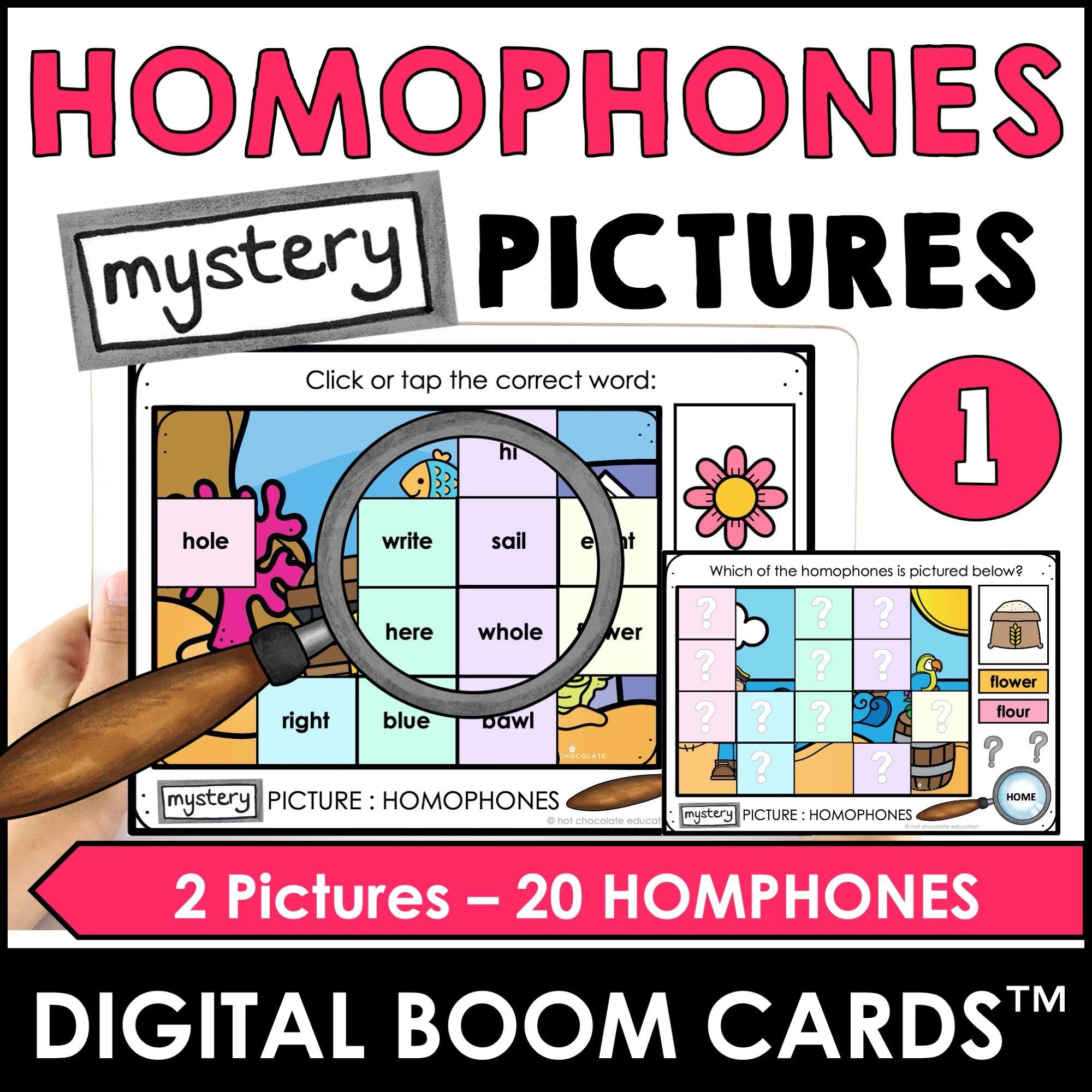 Homophone Vocabulary Boom Cards™ | Task Card Activity Set 1