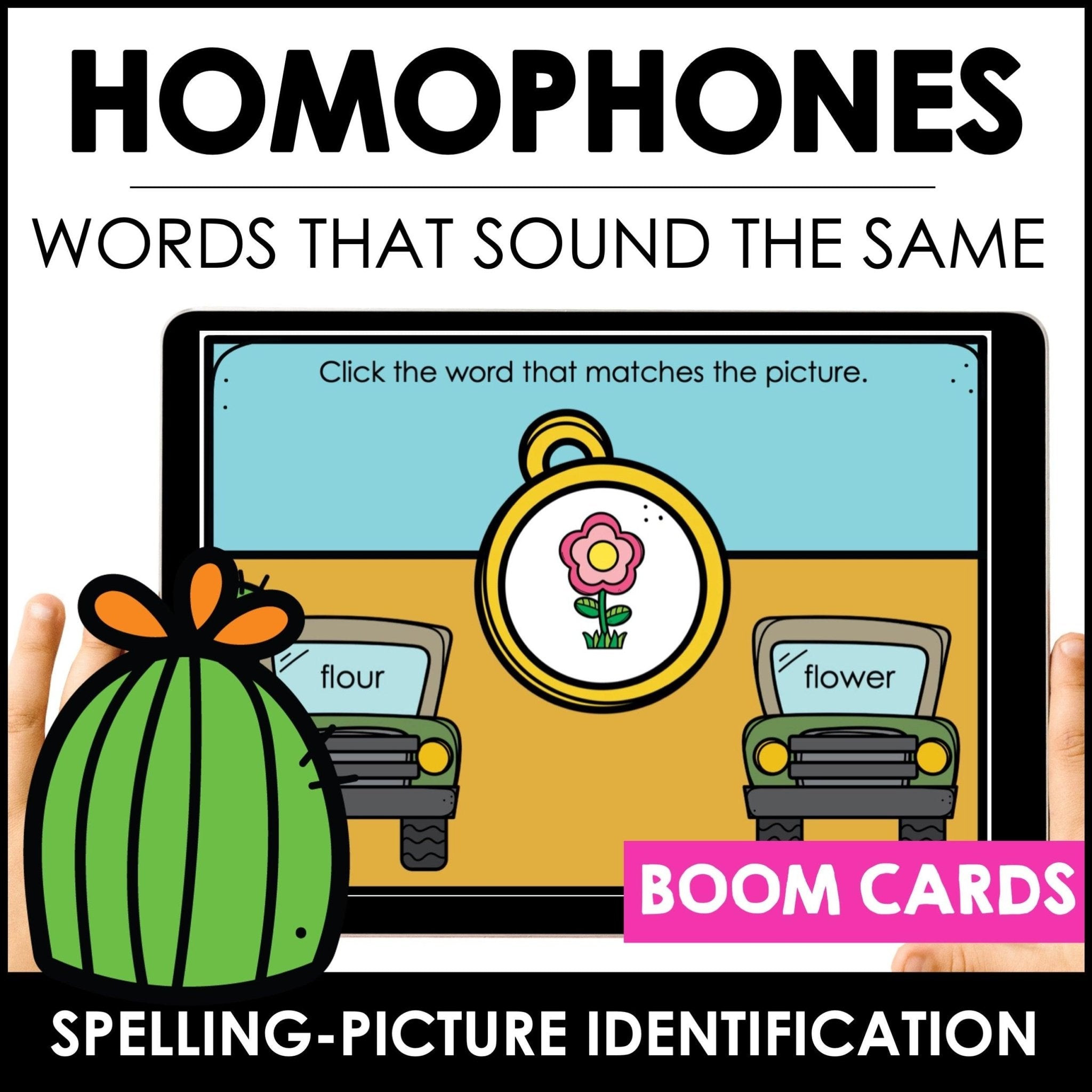 Homophone Words with Different Meanings - Boom Cards