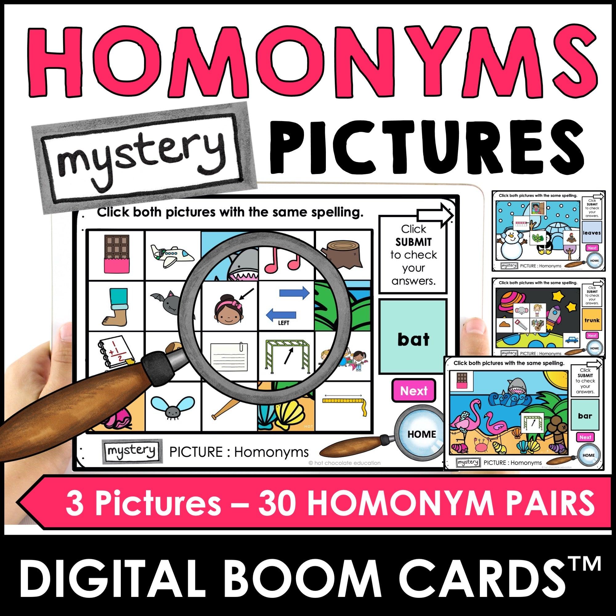 Multiple Meaning Words - HOMONYMS - Boom Cards