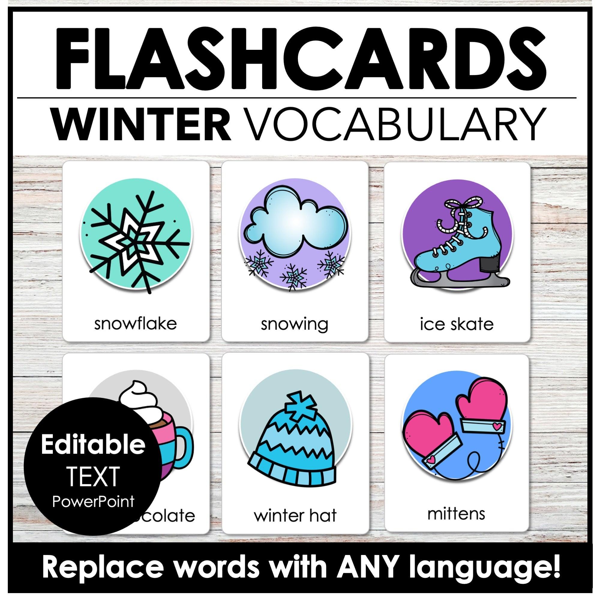 Winter Vocabulary Flashcards - Editable English Flash Cards