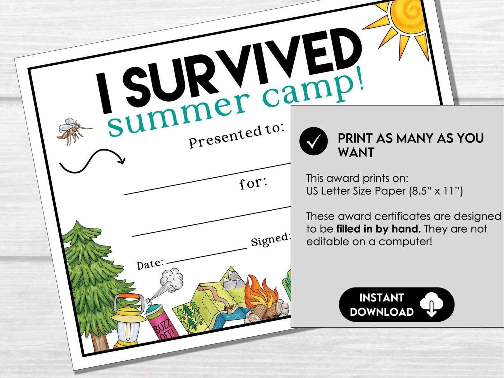 I Survived Summer Camp Awards, Kids Summer Camp Certificate