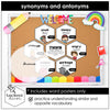 Antonyms & Synonyms Grammar Bulletin Board Posters