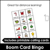 Christmas Vocabulary Bingo - Digital Boom Cards