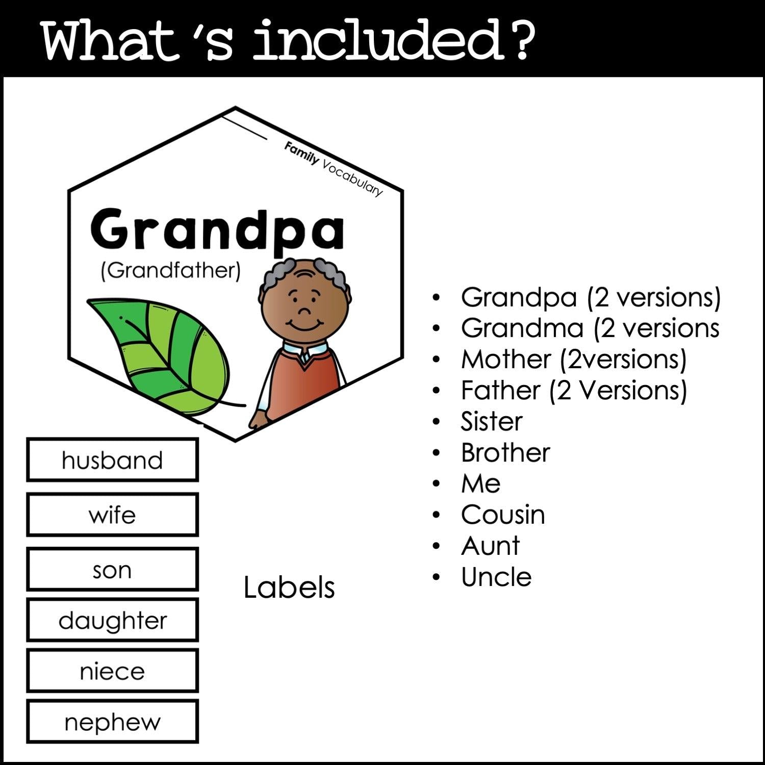 ESL Word Wall | Family Tree Vocabulary Posters