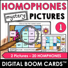 Homophone Vocabulary Boom Cards™ | Task Card Activity Set 1