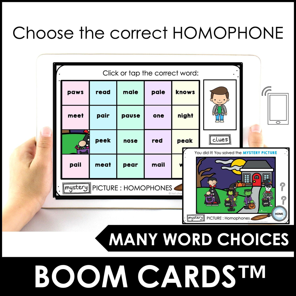 Homophone Vocabulary Boom Cards™ | Task Card Activity Set 2