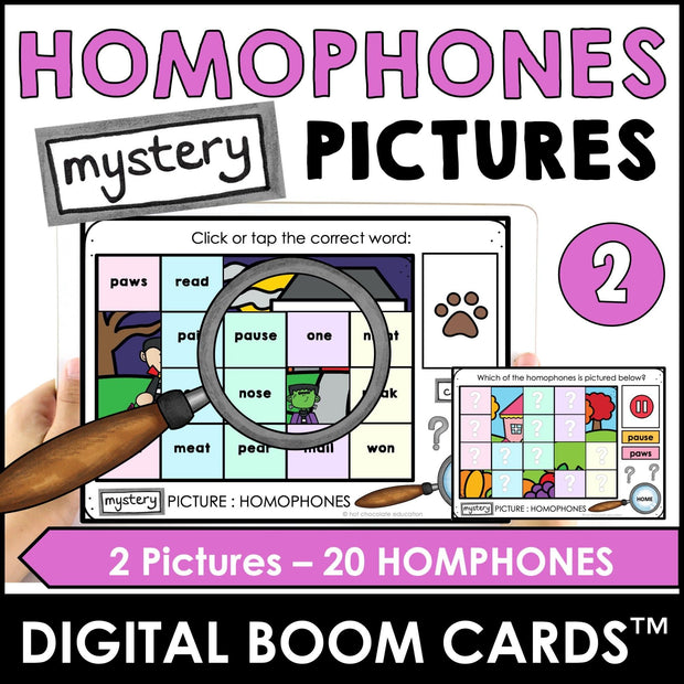 Homophone Vocabulary Boom Cards™ | Task Card Activity Set 2