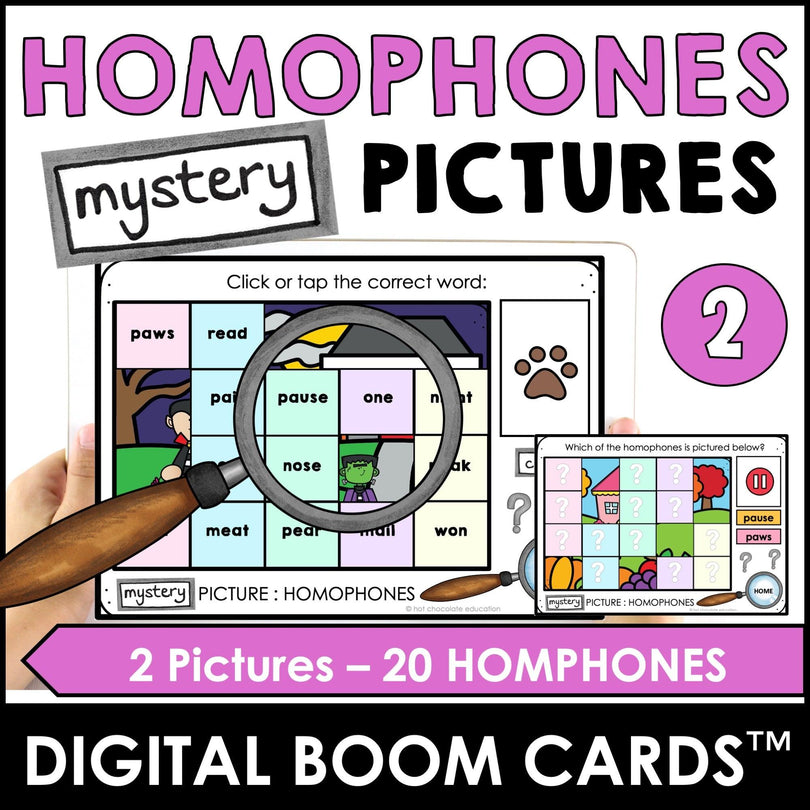 Homophone Vocabulary Boom Cards™ | Task Card Activity Set 2