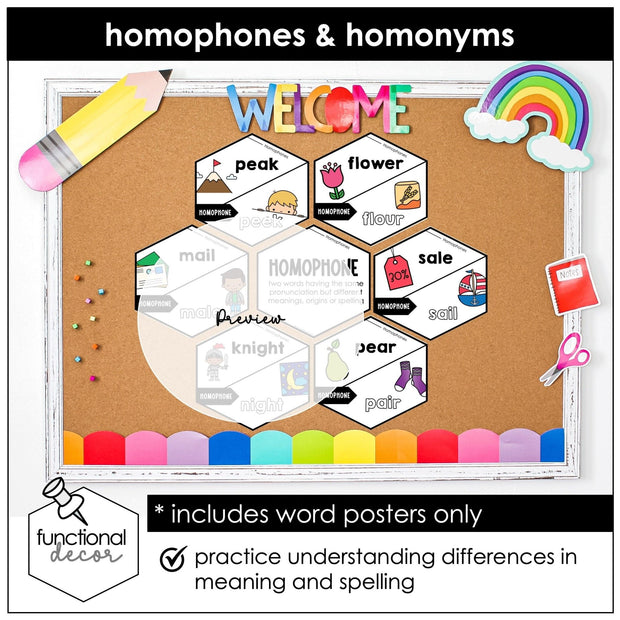Homophones & Homonyms Posters Improve Vocabulary & Spelling