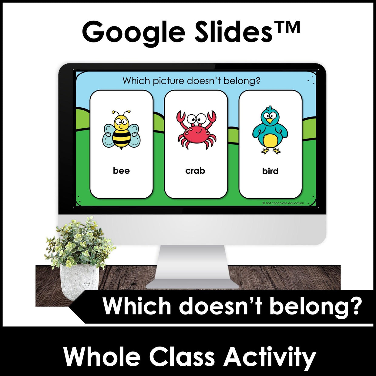 Odd One Out | Speaking Cards & Slides Bundle