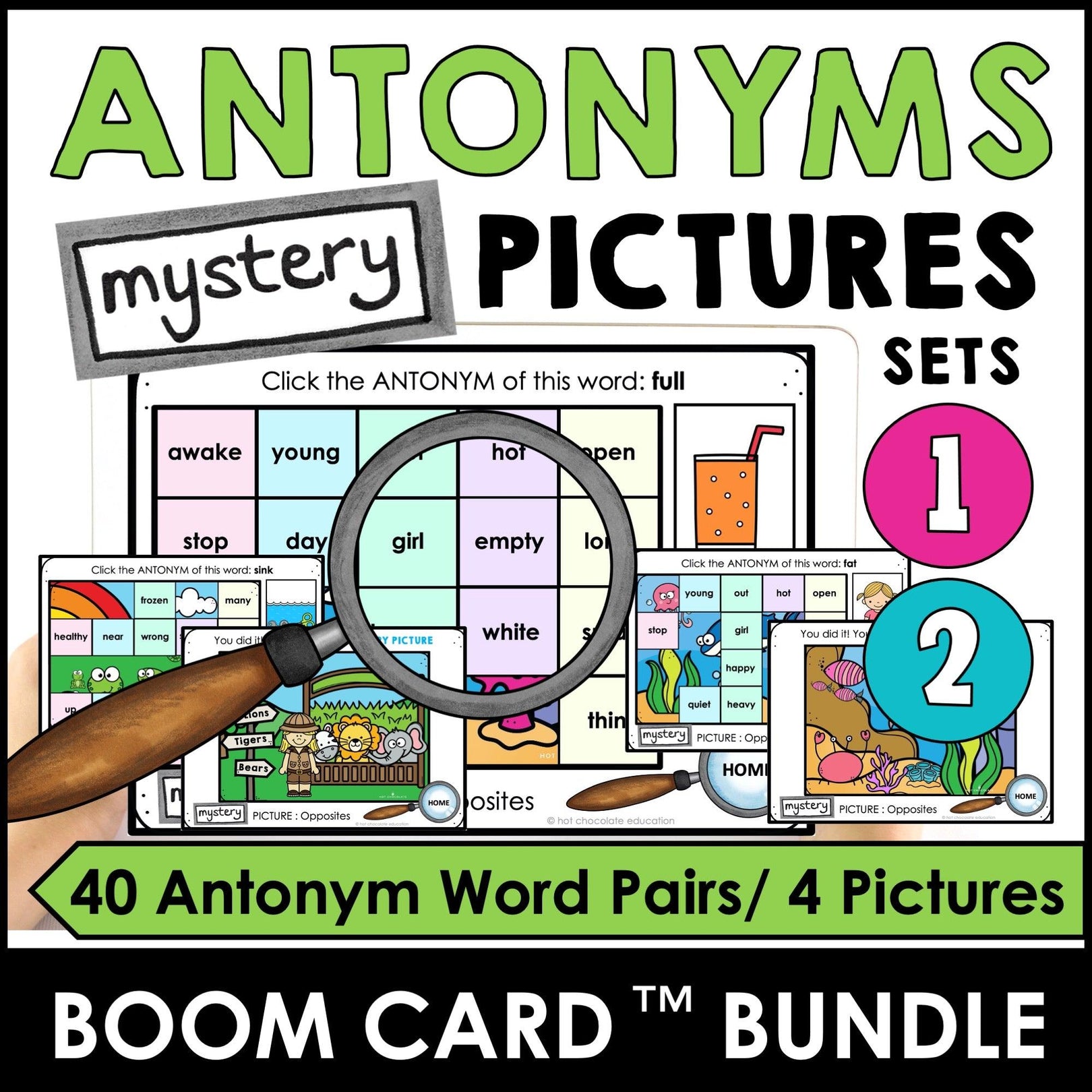 Opposite Words | Antonym Mystery Picture Boom Cards BUNDLE