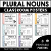 Plural Noun Spelling Rules Posters - s, es, ies, ves