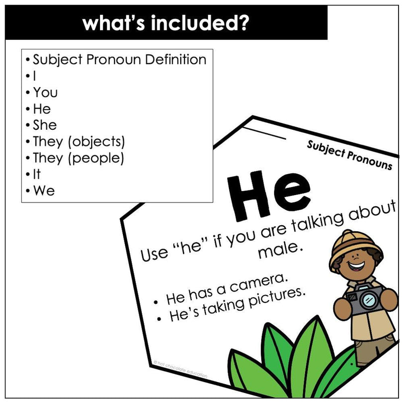 Grammar Bulletin Board | Subject Pronoun Posters