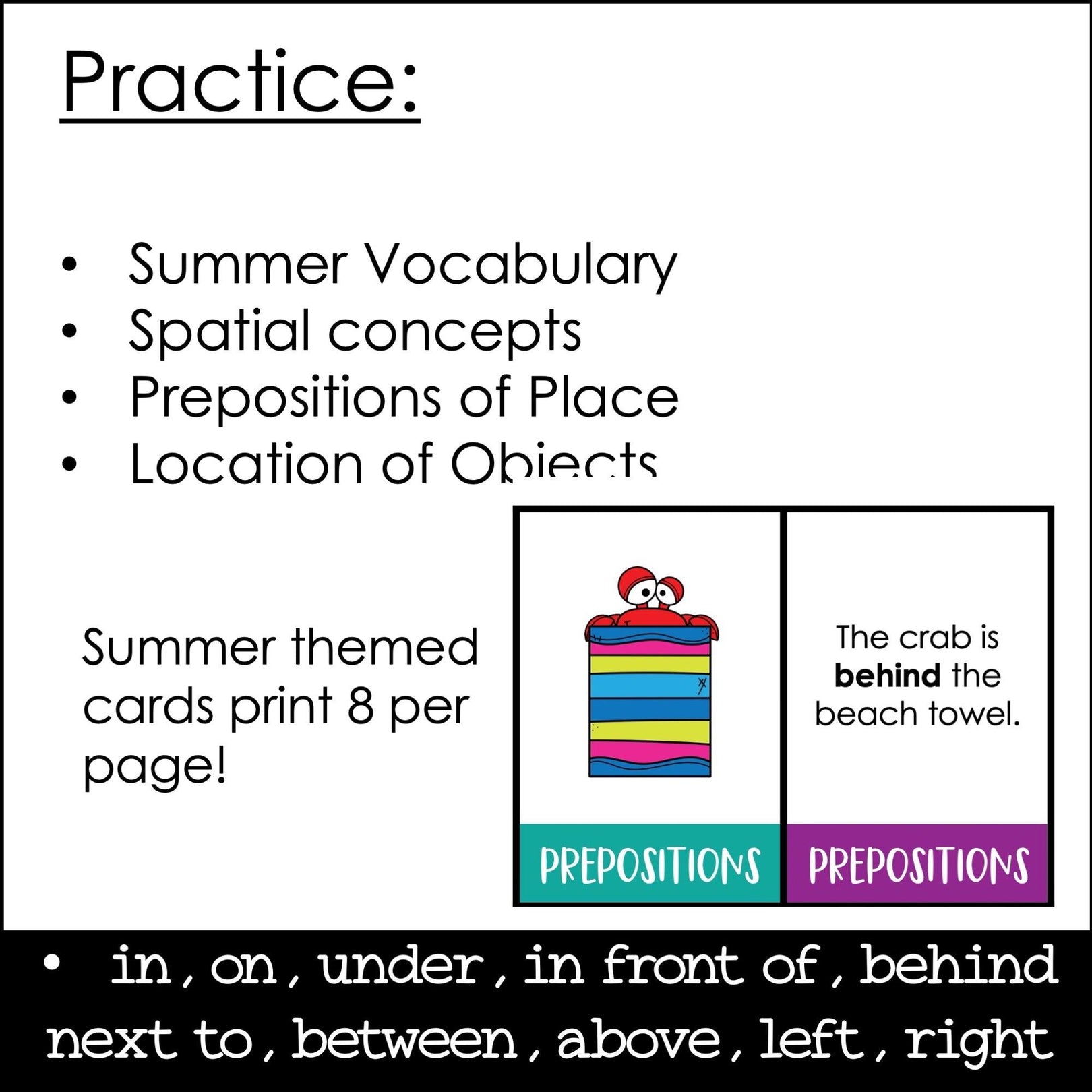 Summer Prepositions of Place Card Matching Activity