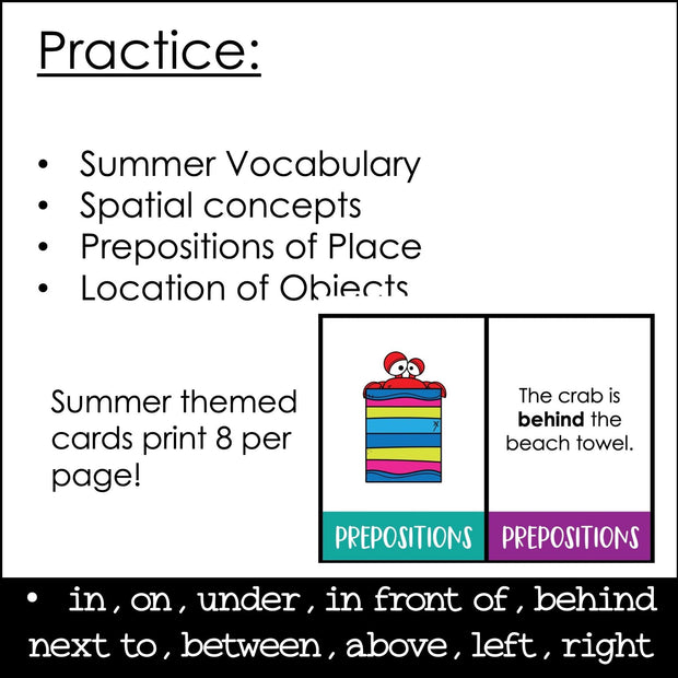 Summer Prepositions of Place Card Matching Activity