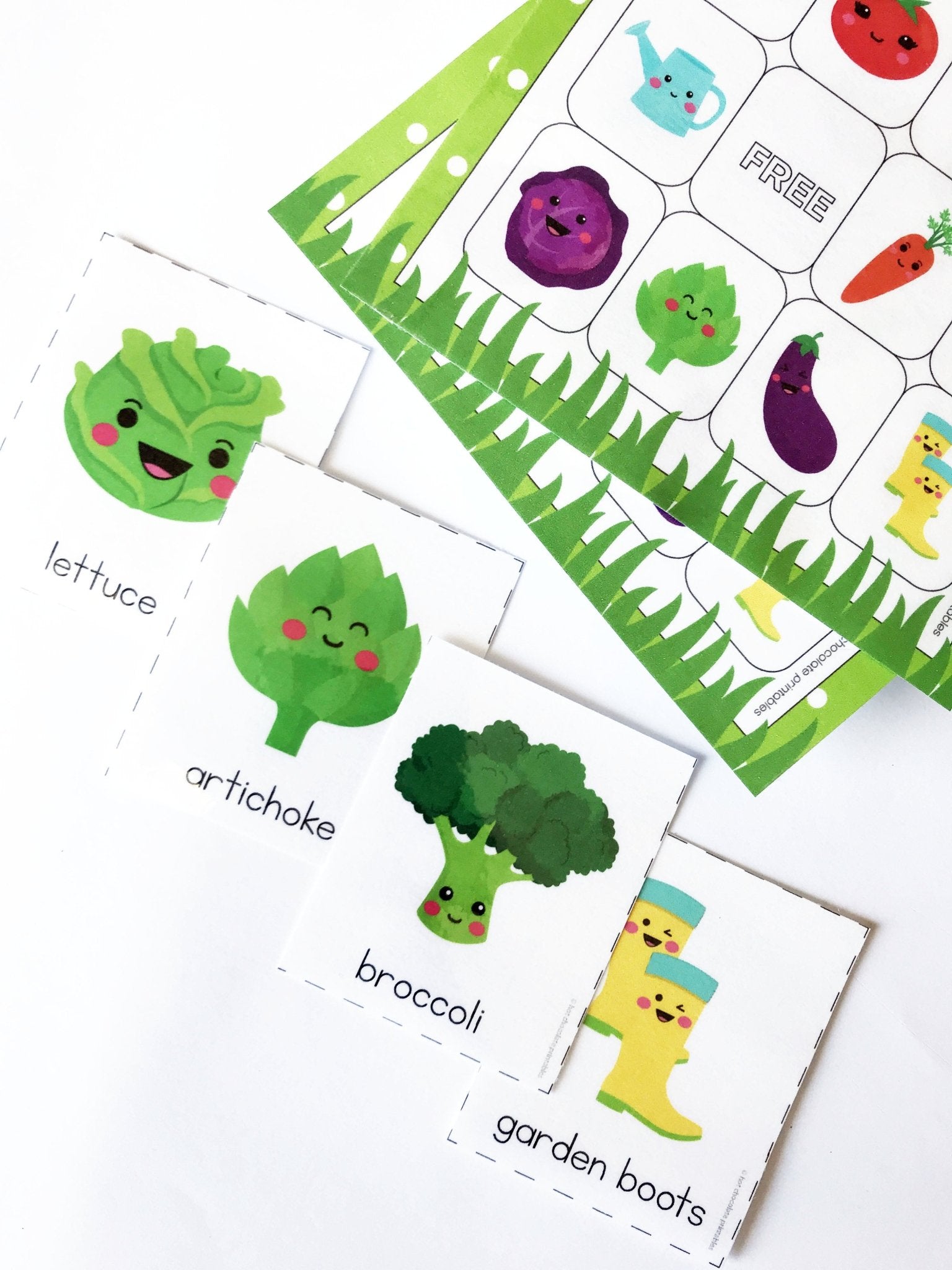 Vegetable Garden Vocabulary Bingo Game + Flashcards