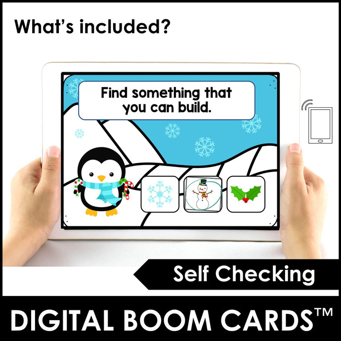 Winter and Christmas Vocabulary Boom Cards